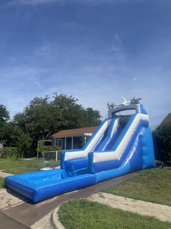 Dolphin Slide 16ft - Carnales Party Rentals Fort Worth TX